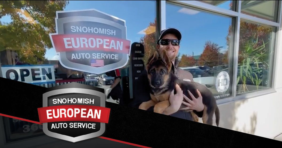 Snohomish European Auto Service | BMW, MINI, AUDI, VW, Mercedes, Land ...